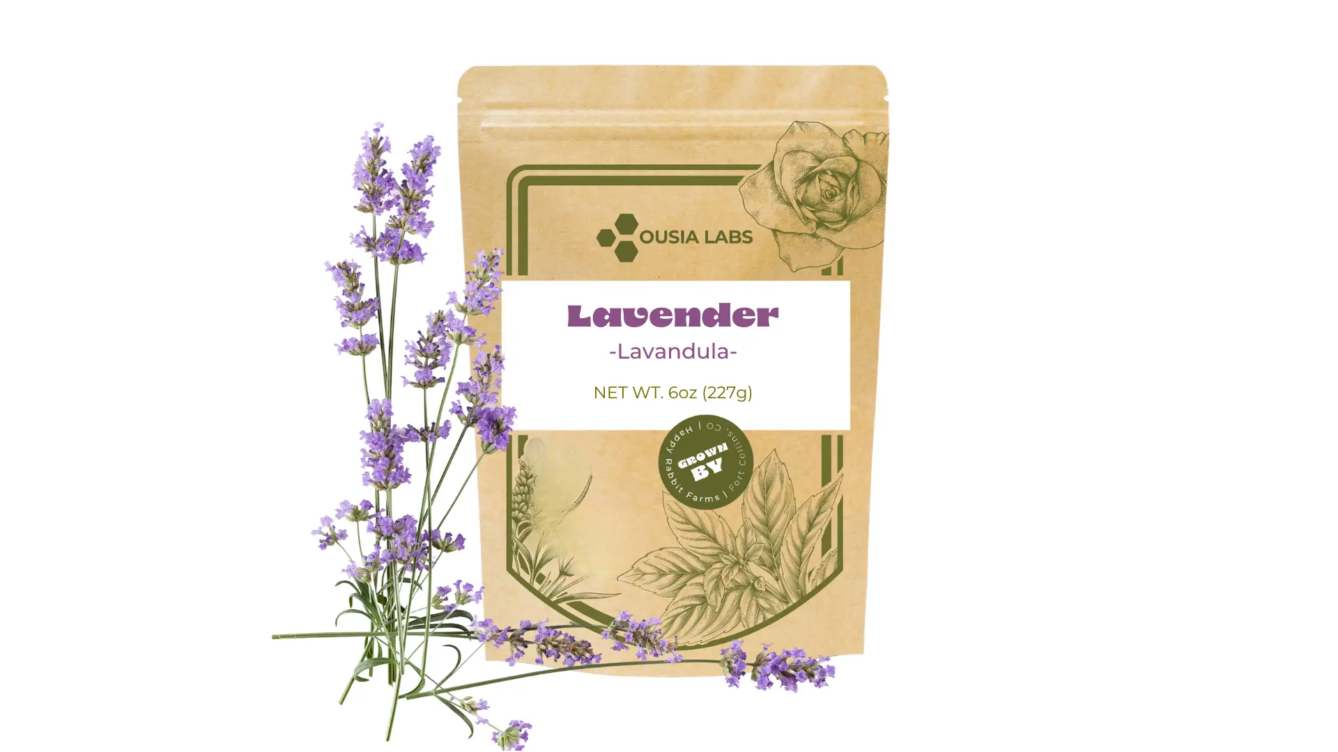 Lavender - Ousia Labs